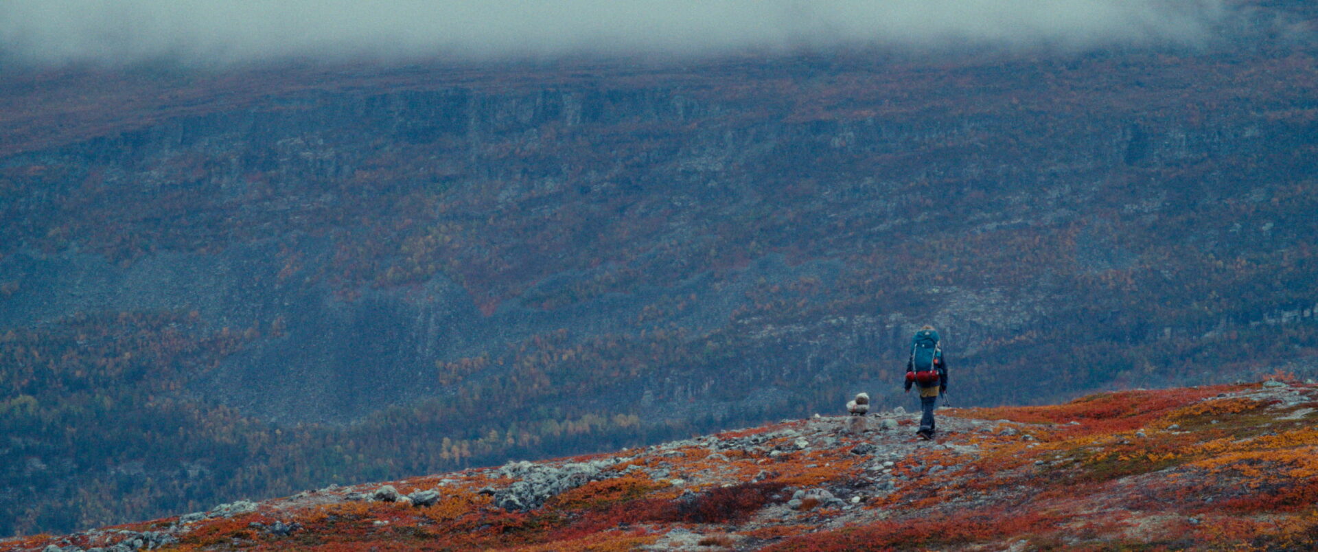 Watch Human Nature | Hiking Film | Tuesday Film