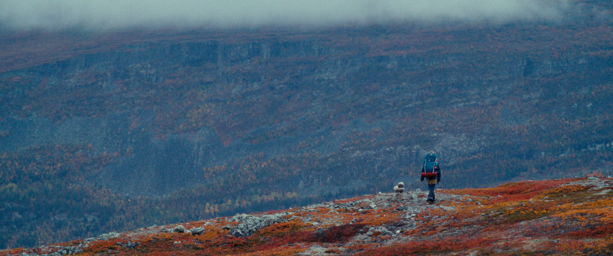 Watch Human Nature | Hiking Film | Tuesday Film