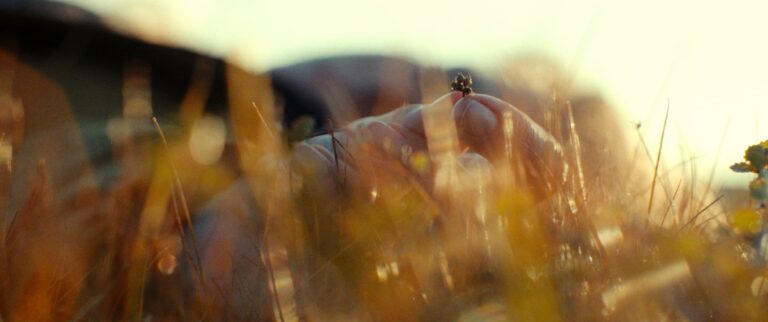 Watch Human Nature | Hiking Film | Tuesday Studio